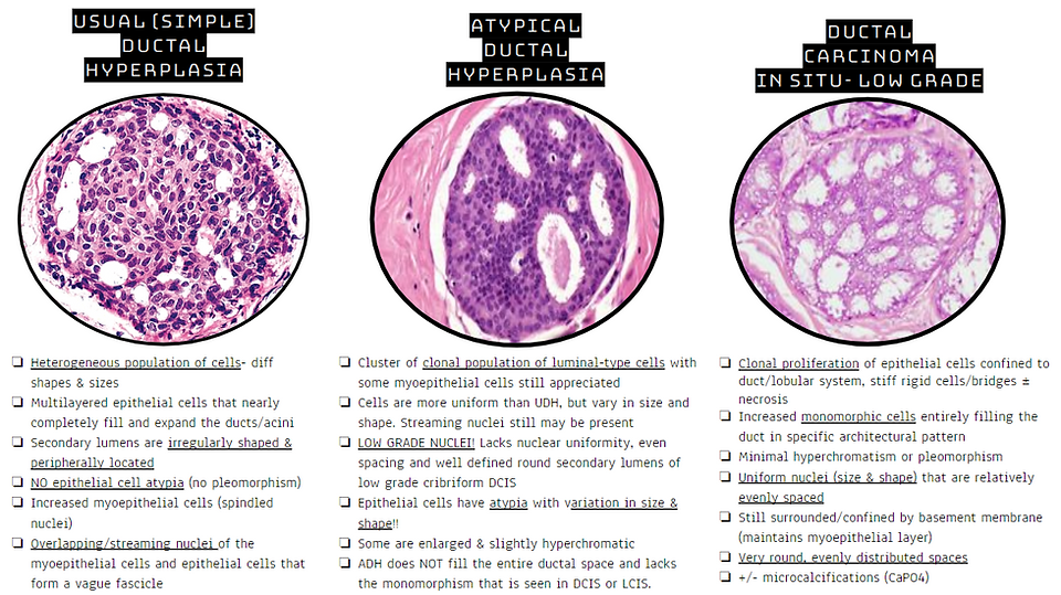 Breast Pathology | iheartpathology