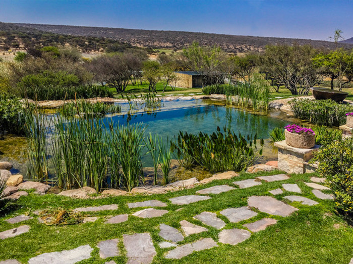 El secreto para crear un estanque de bajo mantenimiento