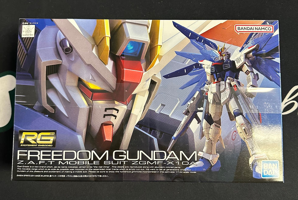 Gundam RG Freedom Model Kit | My Site