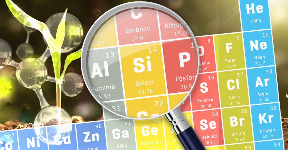 A Importância do Silício na Agricultura