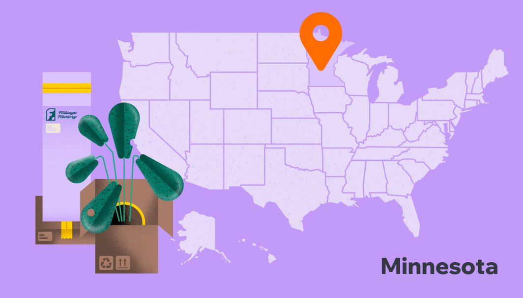 How to start a business in Minnesota in 7 steps