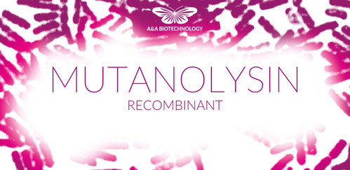 Mutanolysin | Recenttec