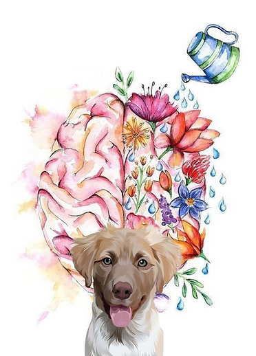 APRENDE A MEDITAR CON TU PERRO