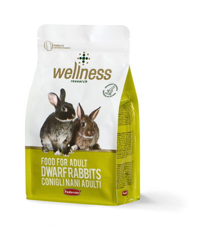 WELLNESS ADULT DWARF RABBITS | myzoo-ltd ISRAEL