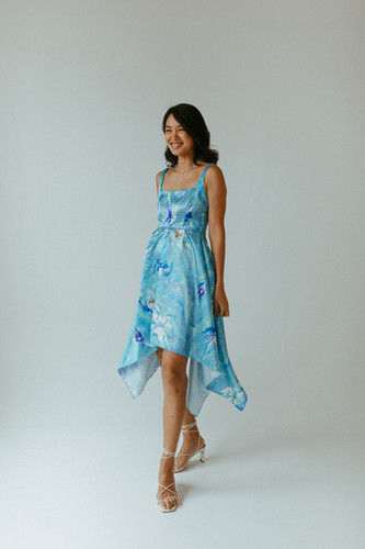 The Resurrection Dress | Litany