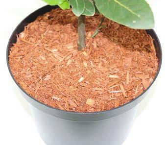 Bark Mulch - Weed Suppression | Treescape Nursery
