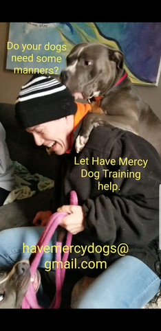 Dog Trainer | Have Mercy Dogs