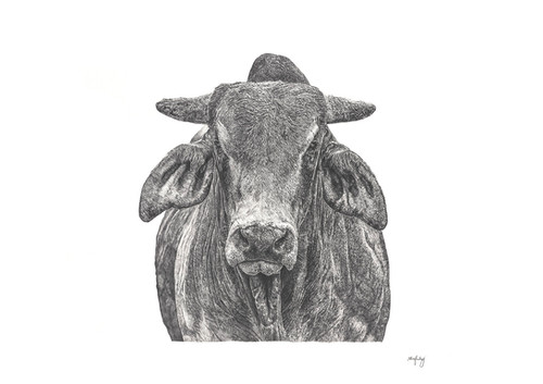 'El Toro' Print | Alice Finlay