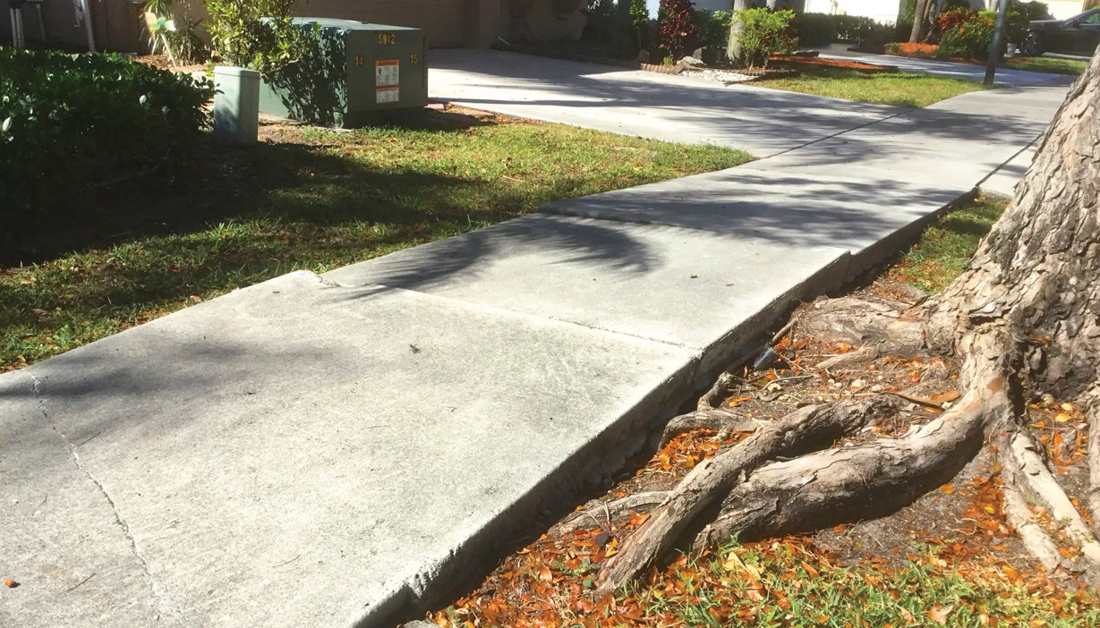 Avant Garde Safe Route To School Sidewalk Improvement Program Underway ...