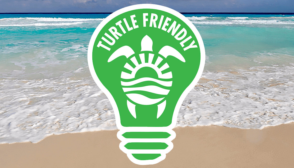 City Of Hollywood Launches Turtle-Friendly Lighting Recognition Program