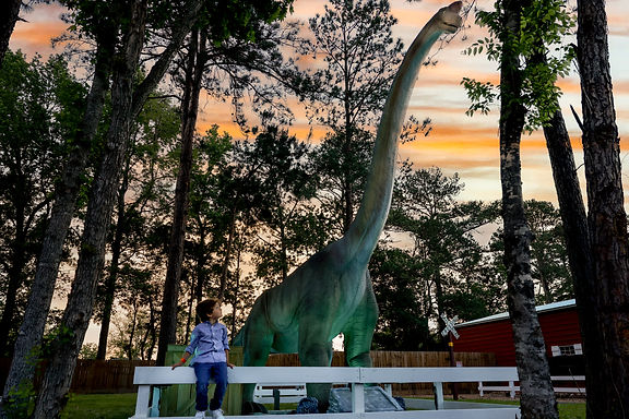 Attractions | Once Upon A Cowboy