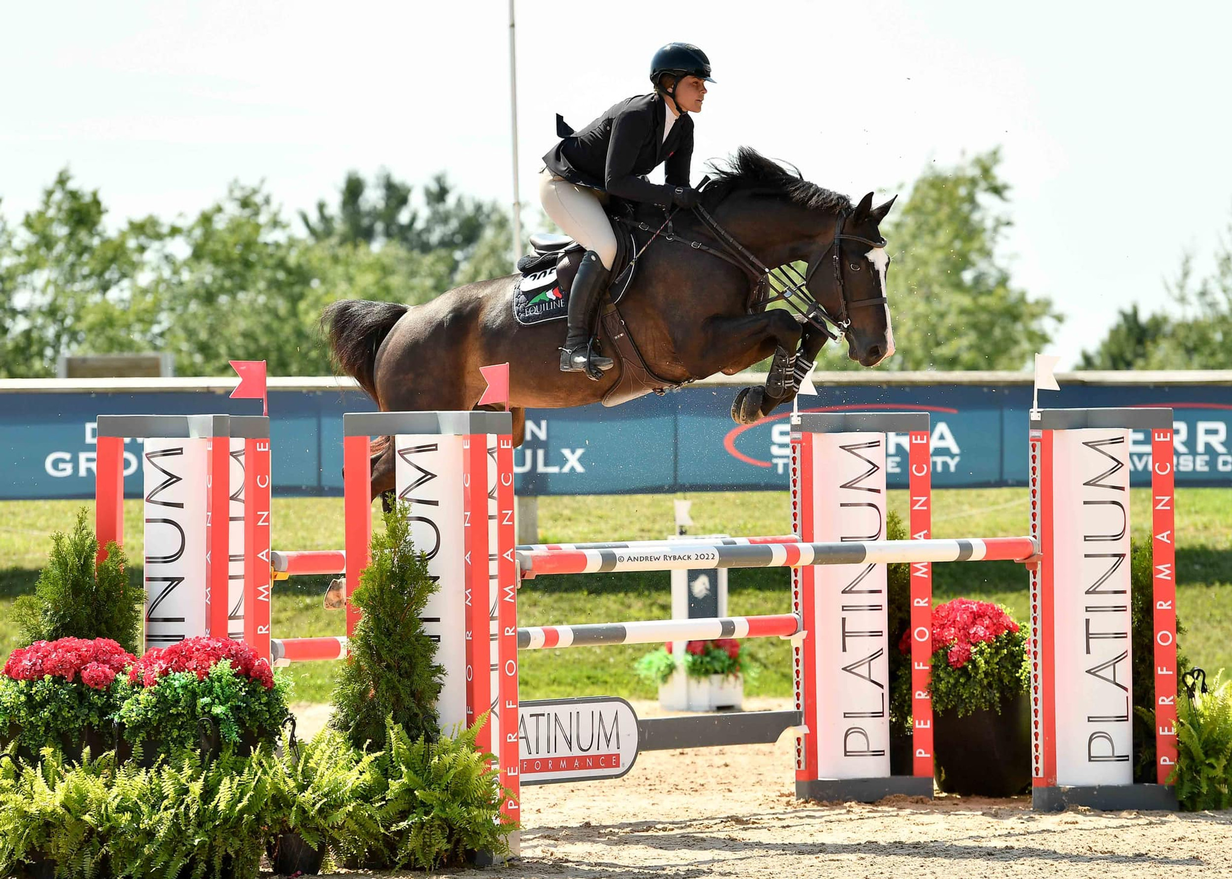 Cool Running VDV Z | AliBoo Farm, Inc.