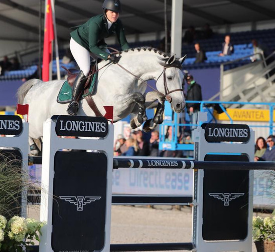 Carrasca Z | AliBoo Farm, Inc.