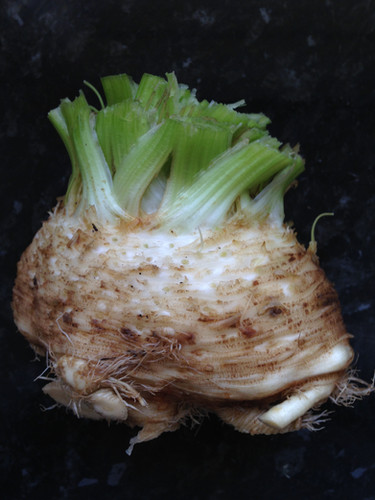 Celeriac - White Alabaster | The Aussie Veggie Patch