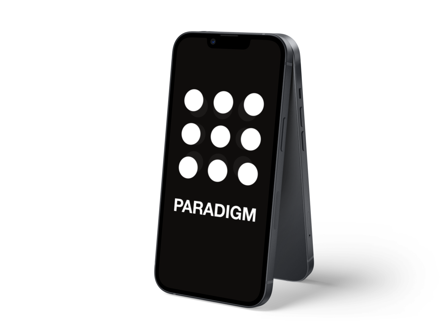 CASE STUDY | PARADIGM COACHING
