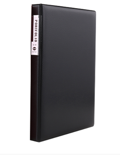 Professional Portfolio Binder | DearTree