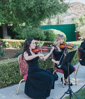 Organic String Quartet | String Quartet for Wedding | Music for Hire ...