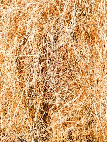 Ramacham Dahasamani (Thirst Quencher) | Ayuraj