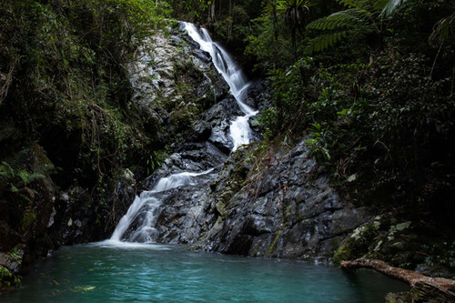 JM 5 | Gold Coast Prints