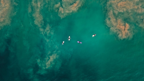 BW 20 | Gold Coast Prints