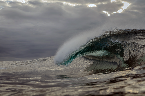 SS 18 | Gold Coast Prints