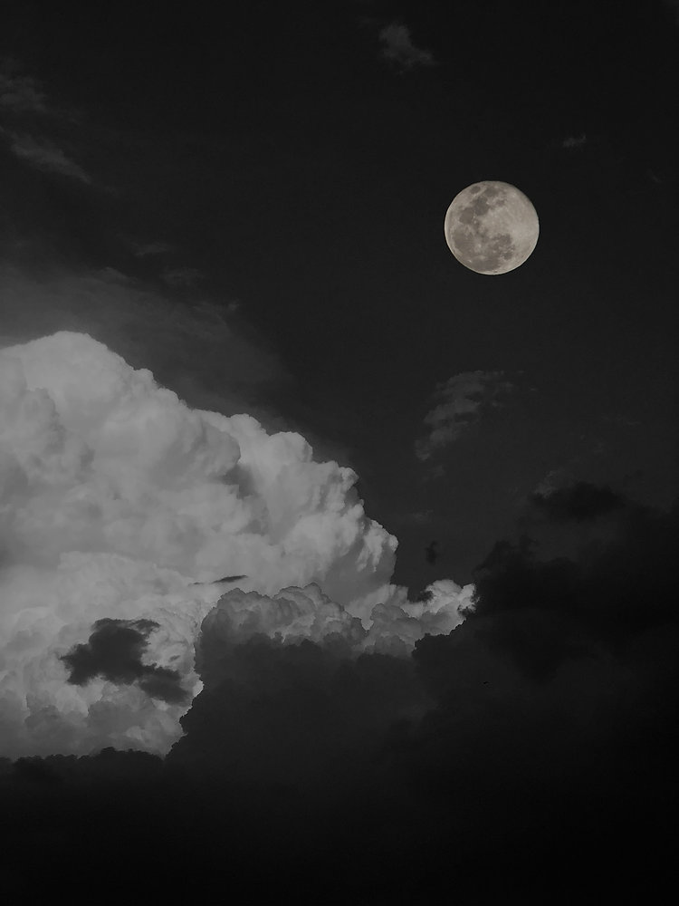 Yashashwini Sudina: Photographer