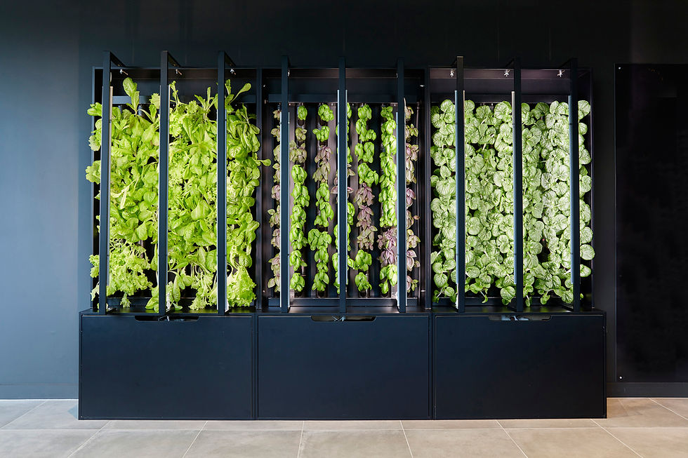 Channel Partner Portal | Image Library | Square Mile Farms