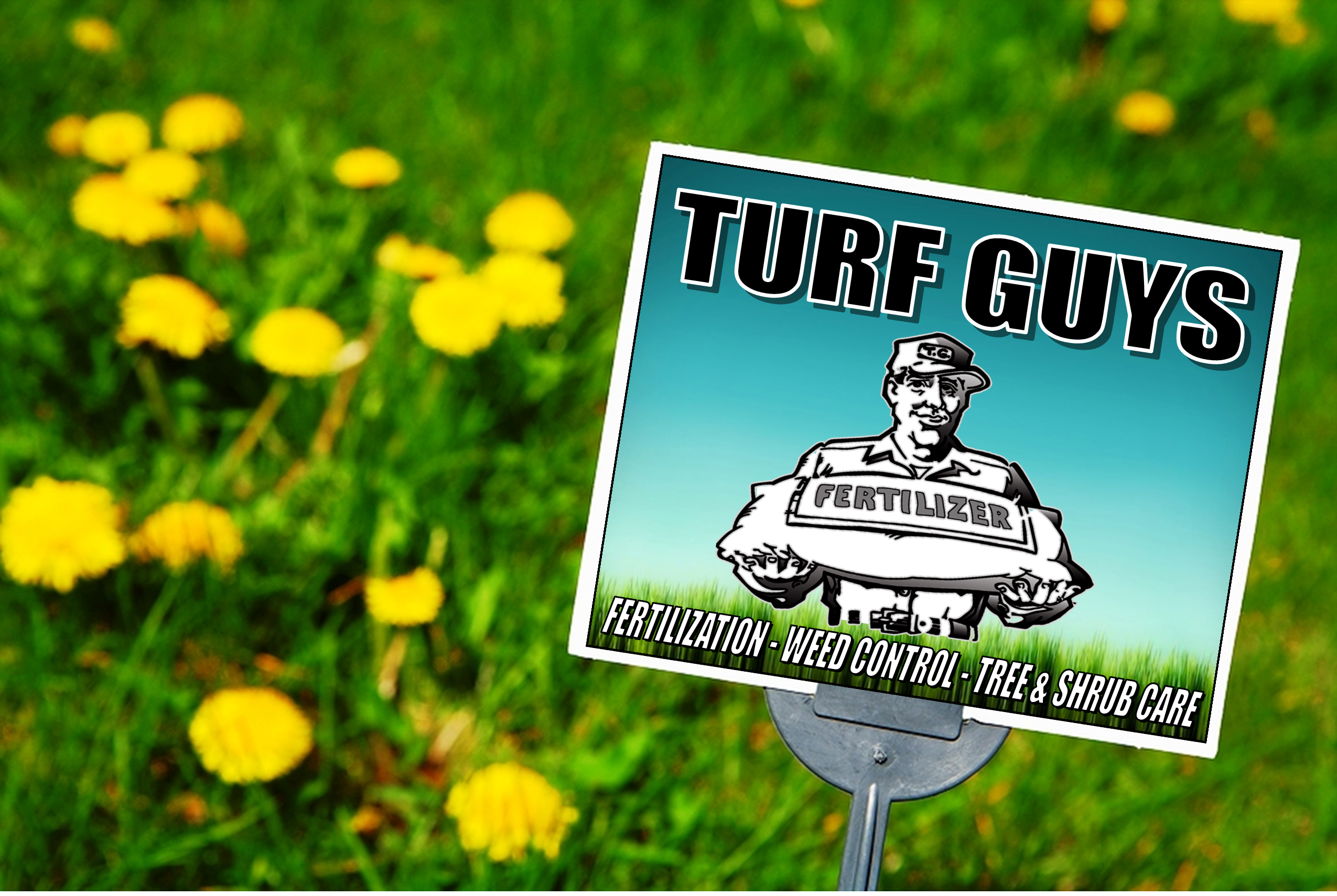 Lawn Treatment Service │ Tree & Shrub Care │ Turf Guy Inc.
