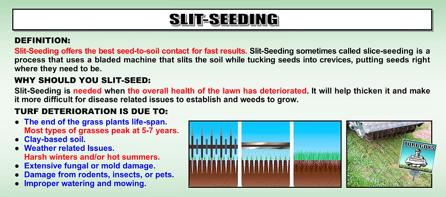 Lawn Care Service │ Weed Control-Fertilizer-Tree Care │ Lk County, IL