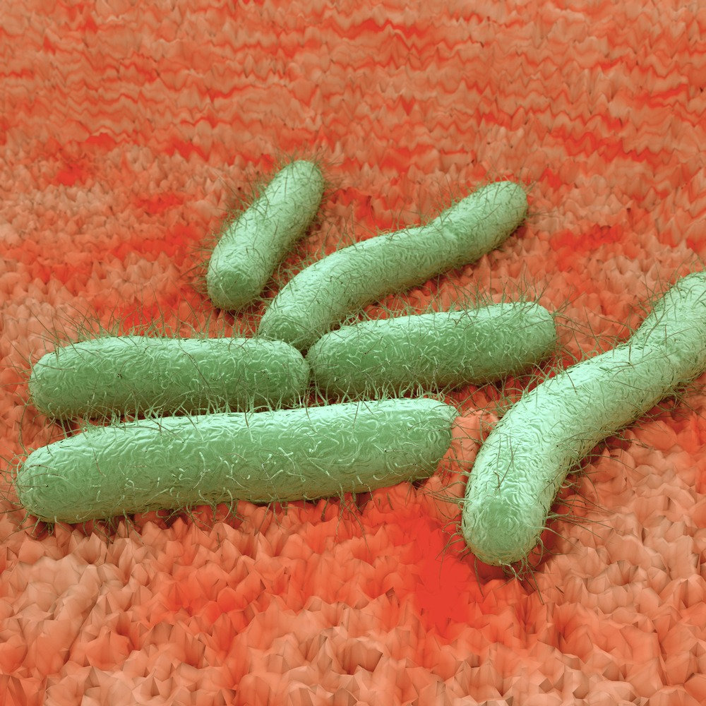 Toxina Shiga E.coli (STEC)