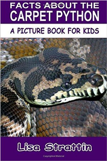 Vivariums;reptiles;carpet python | tropical-hobbies