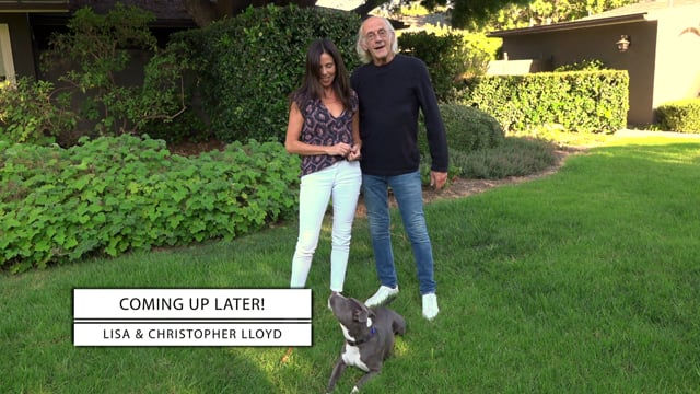 Animal Zone | Season 04 | All Episodes