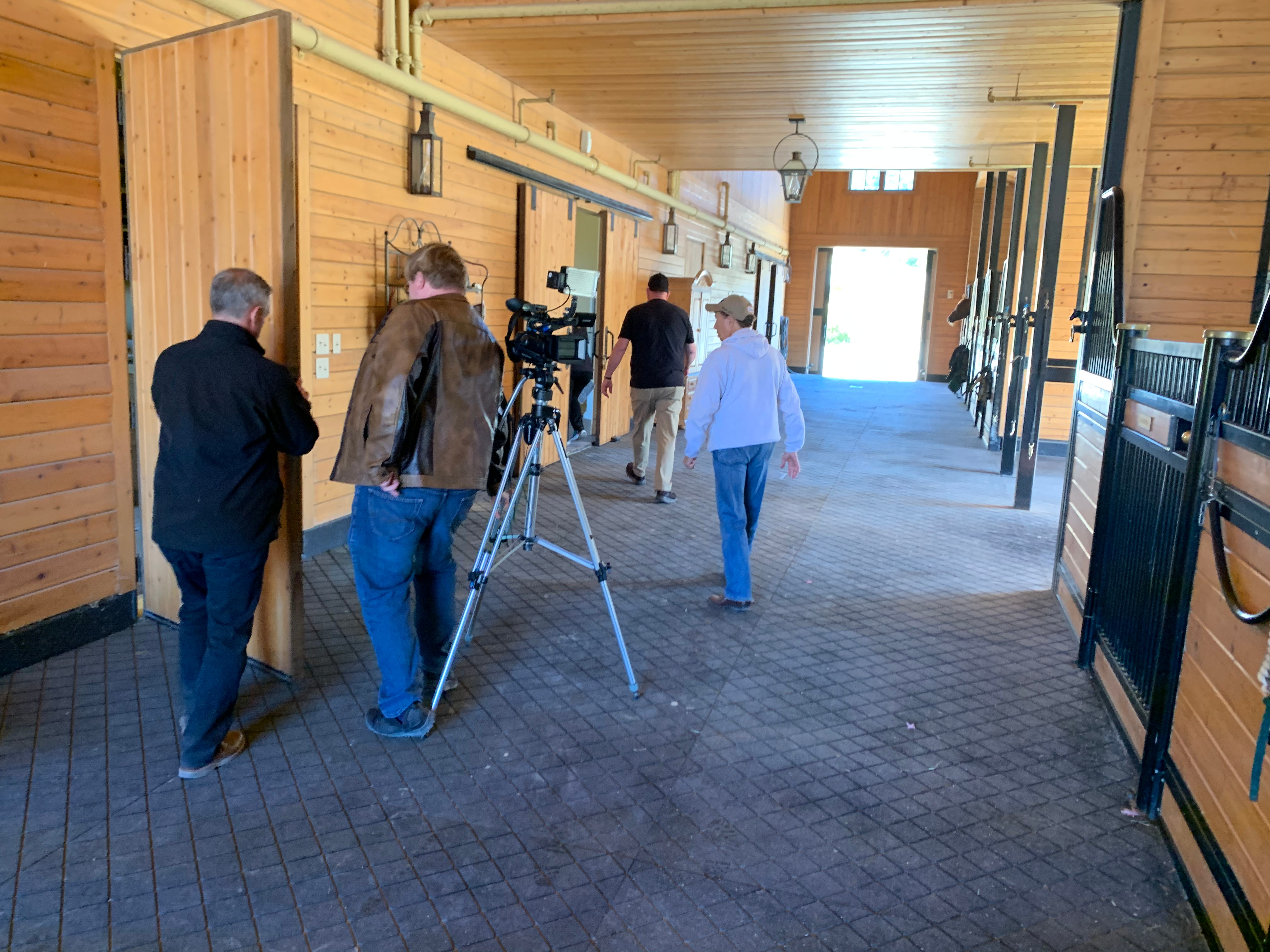 Production - Gallery - Animal Zone