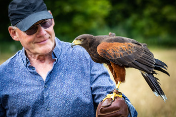 Gallery | Hampshire Hawk Walks