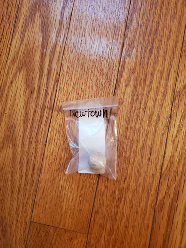 Revolutionary War American musket balls from the Battle of Newtown, NY ...