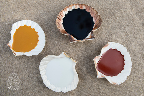 Prehistoric Pigment Shells | AncientCraft