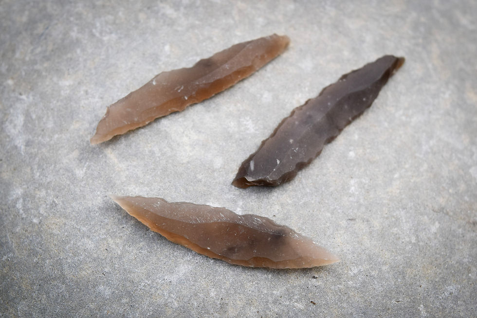 Prehistoric Replicas | AncientCraft