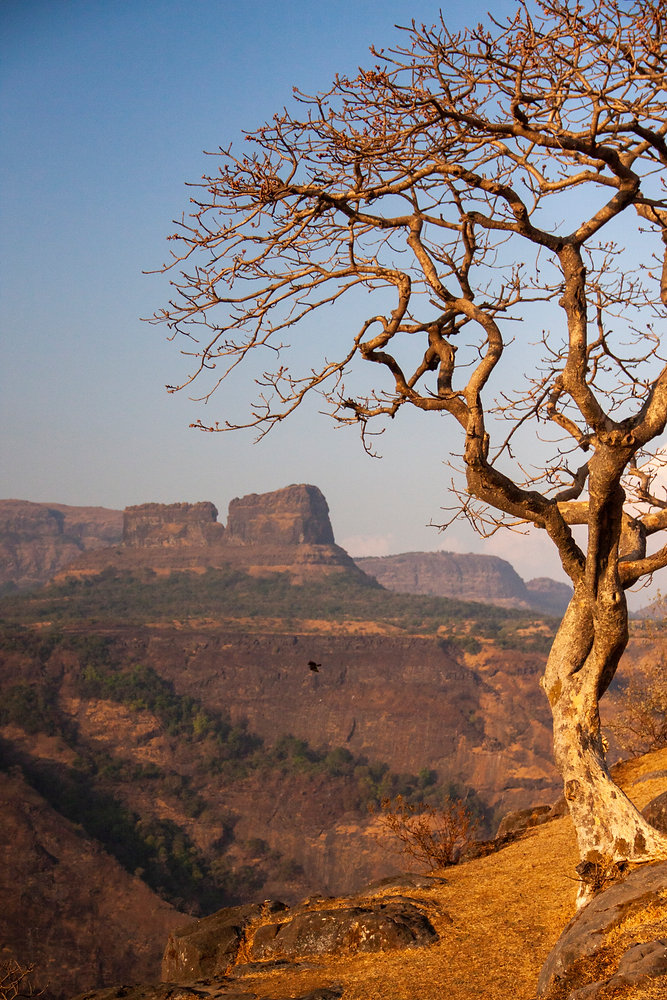 Basic Daylight Exposure (BDE) in Photography: A Guide for Beginners