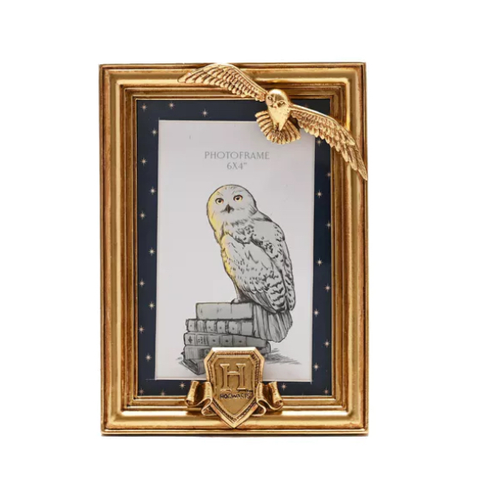 Harry Potter Hedwig Photo Frame 4” x 6” | Swish and Flick