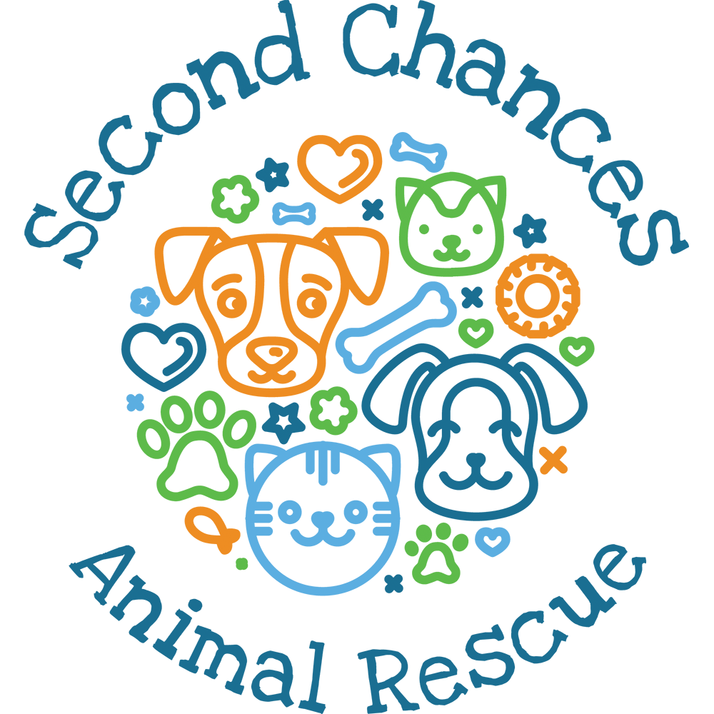 Second Chances Animal Rescue | Adoptable Animals