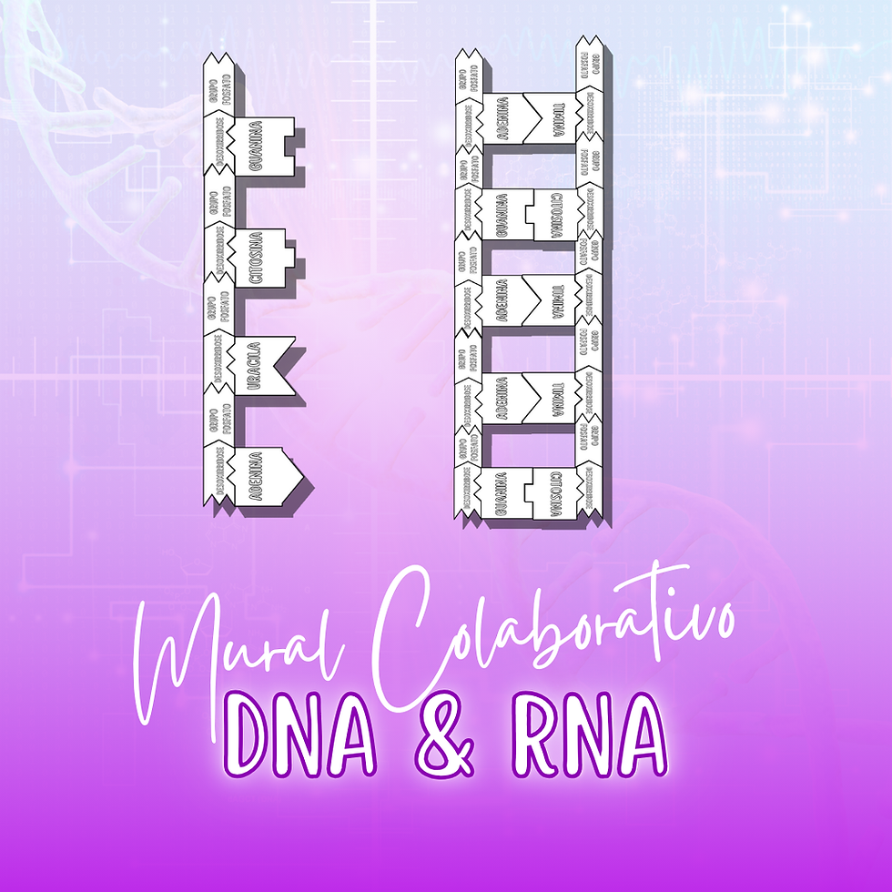 MURAL COLABORATIVO-DNA & RNA | profandressaoliveira