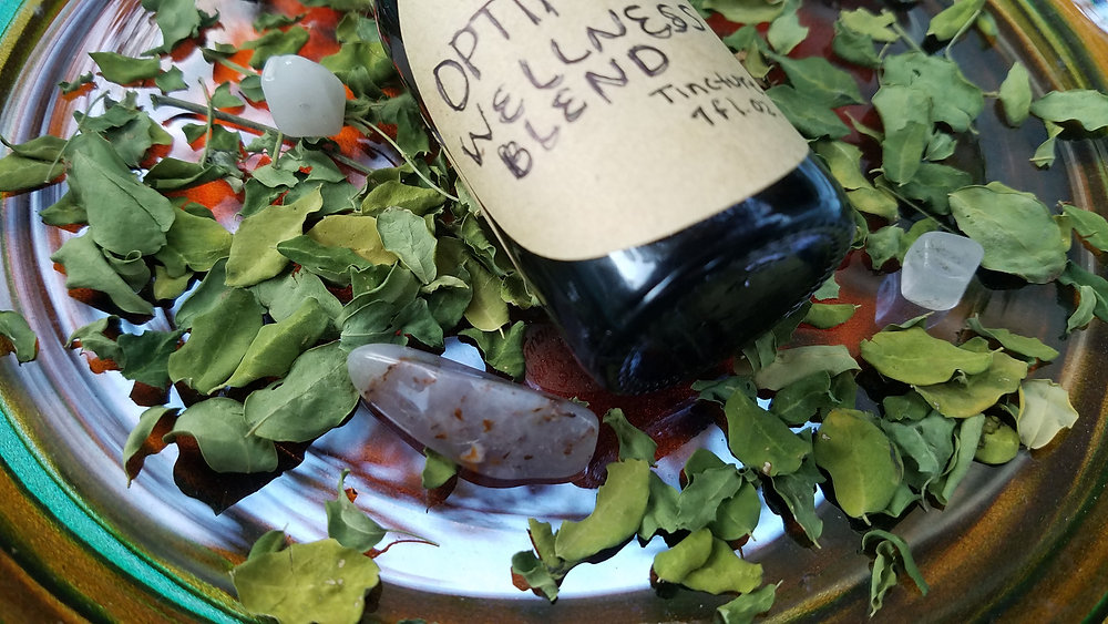 Top 8 African Herbs for Overall Wellness, Vitality, & Longevity