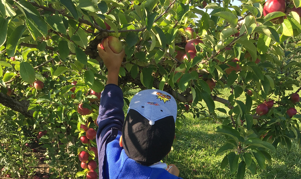 ホーム (ALT) | COJAC