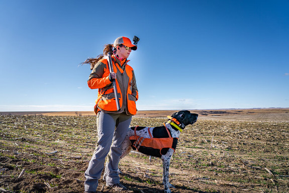 Standing Stone Supply - Bird Dogs