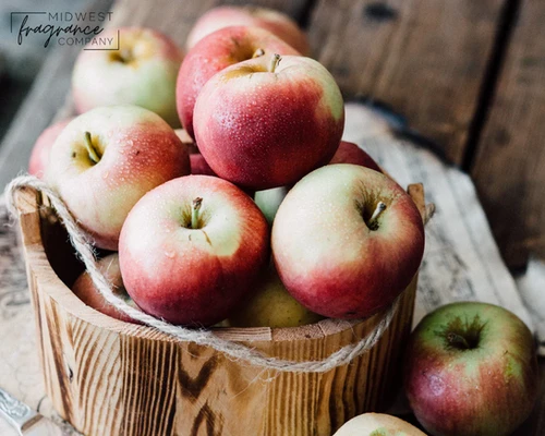 Macintosh Apple | Infinity Farm of Mn