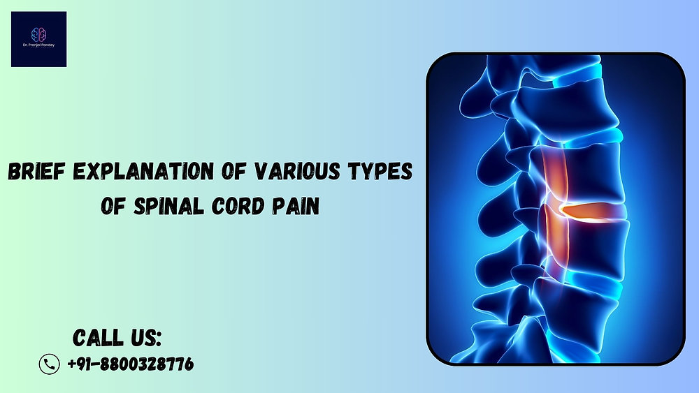 Understanding the Pain with a Brief Explanation of Various types of ...