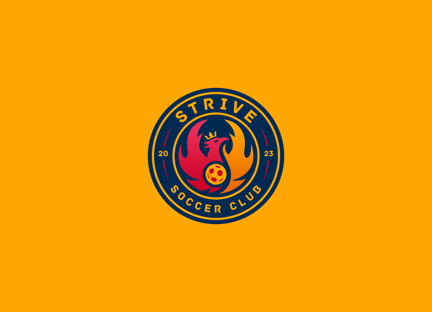 Home | Strive Soccer Club