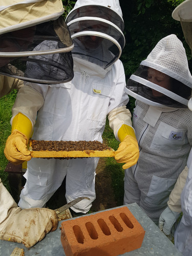 Apiary Session Voucher 2025 Season | Bournville Beekeepers