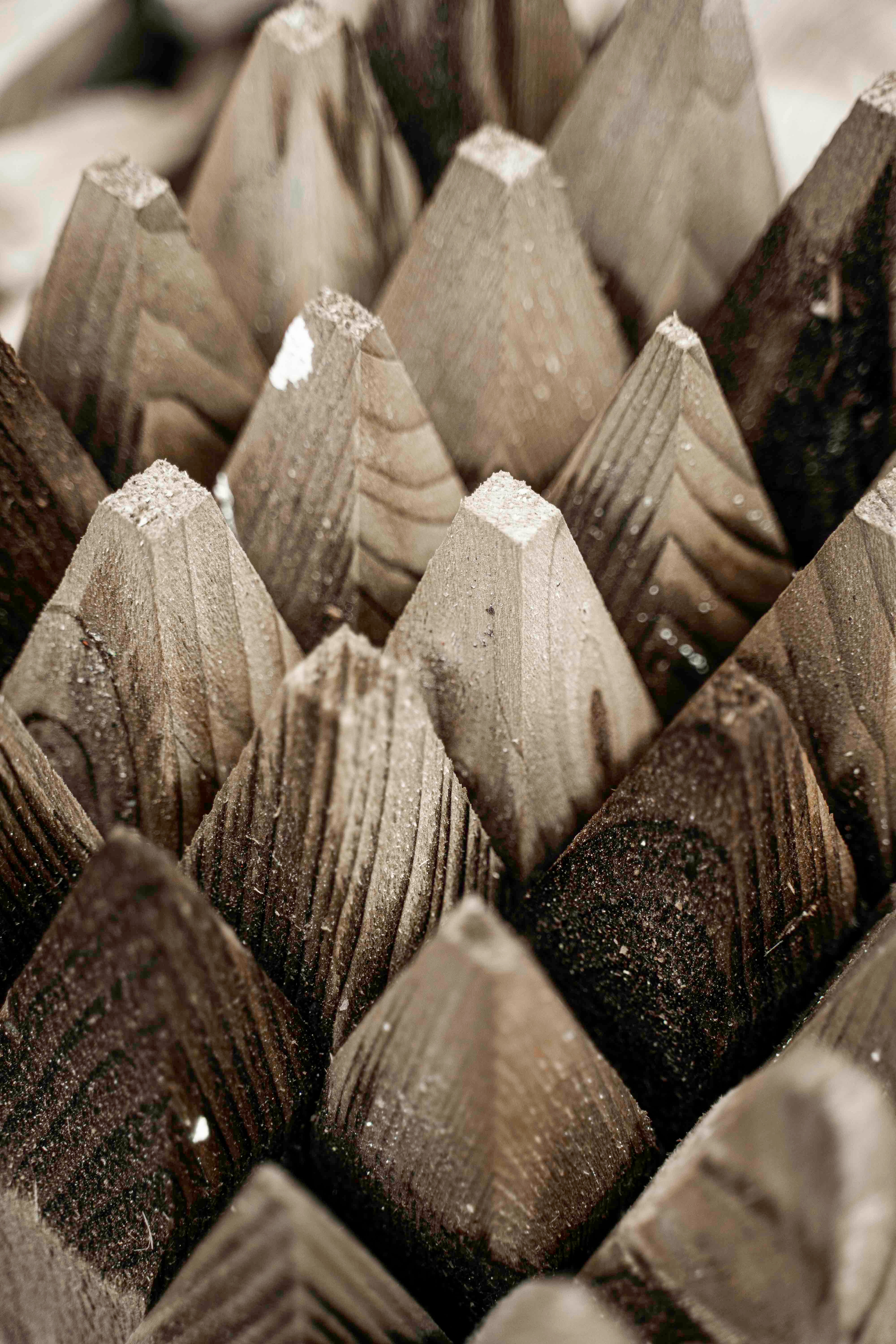 Treated Pointed Pegs 50x50mm | SWM Builders Merchants, Lydney ...