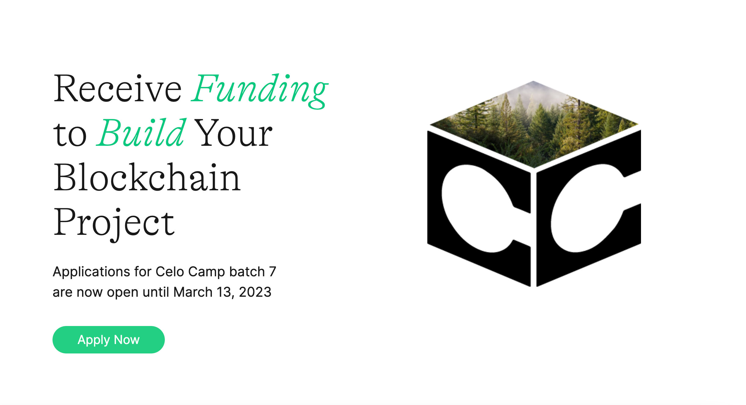 About Us | Celo Camp